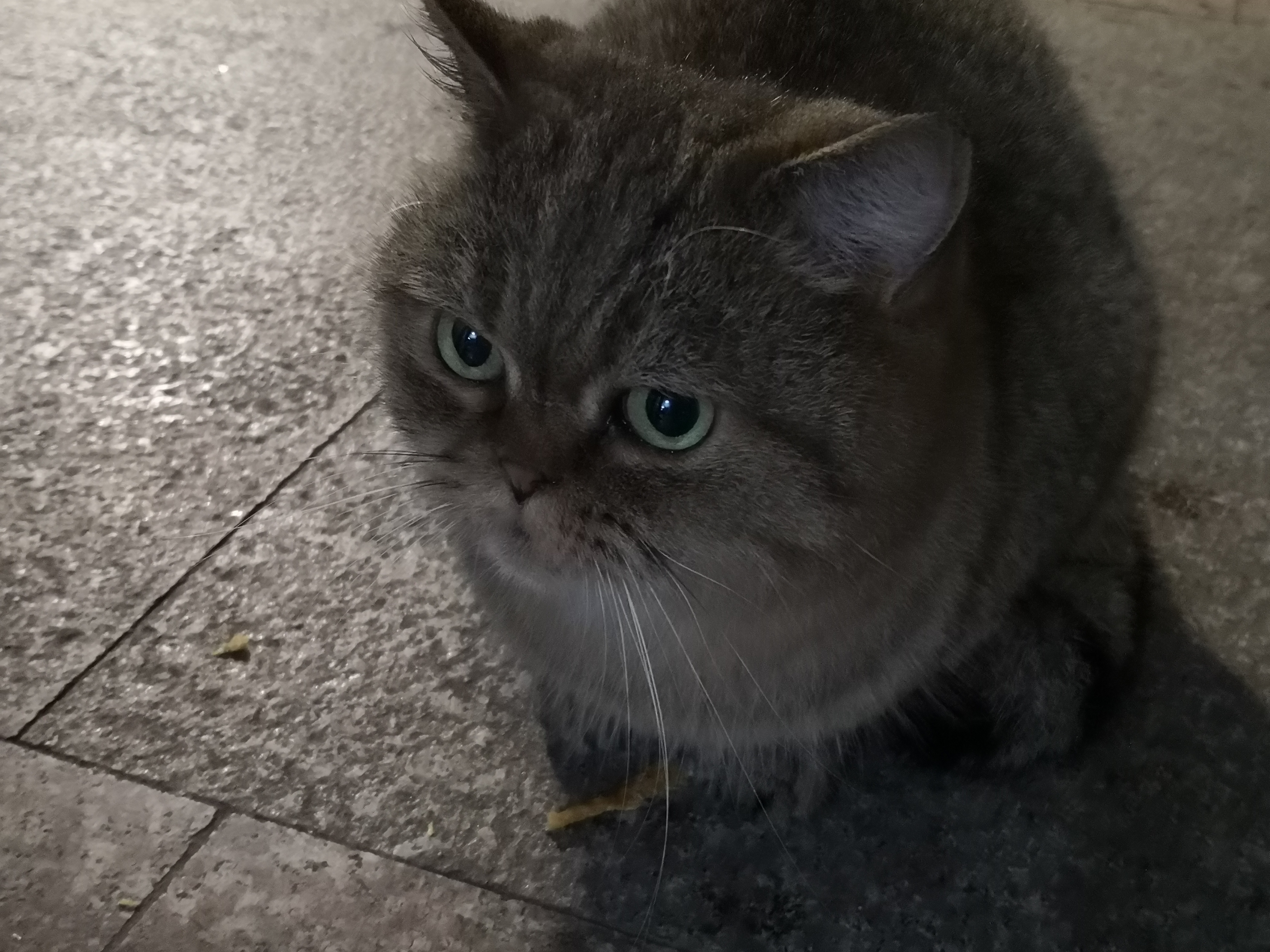 记梦008 | lzjhjw_irealm